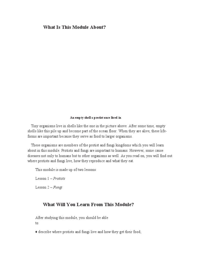 Protist and Fungi | PDF | Fungus | Algae