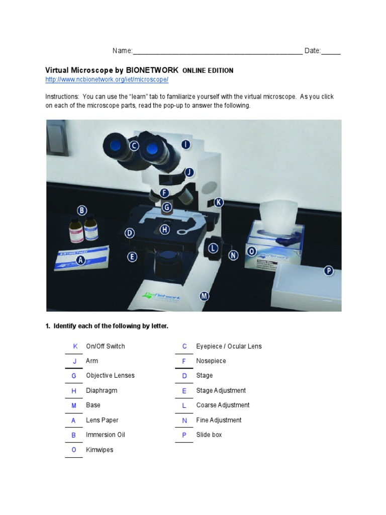 Jacob Wood - Microscope Virtual Lab | PDF | Microscope | White Blood Cell
