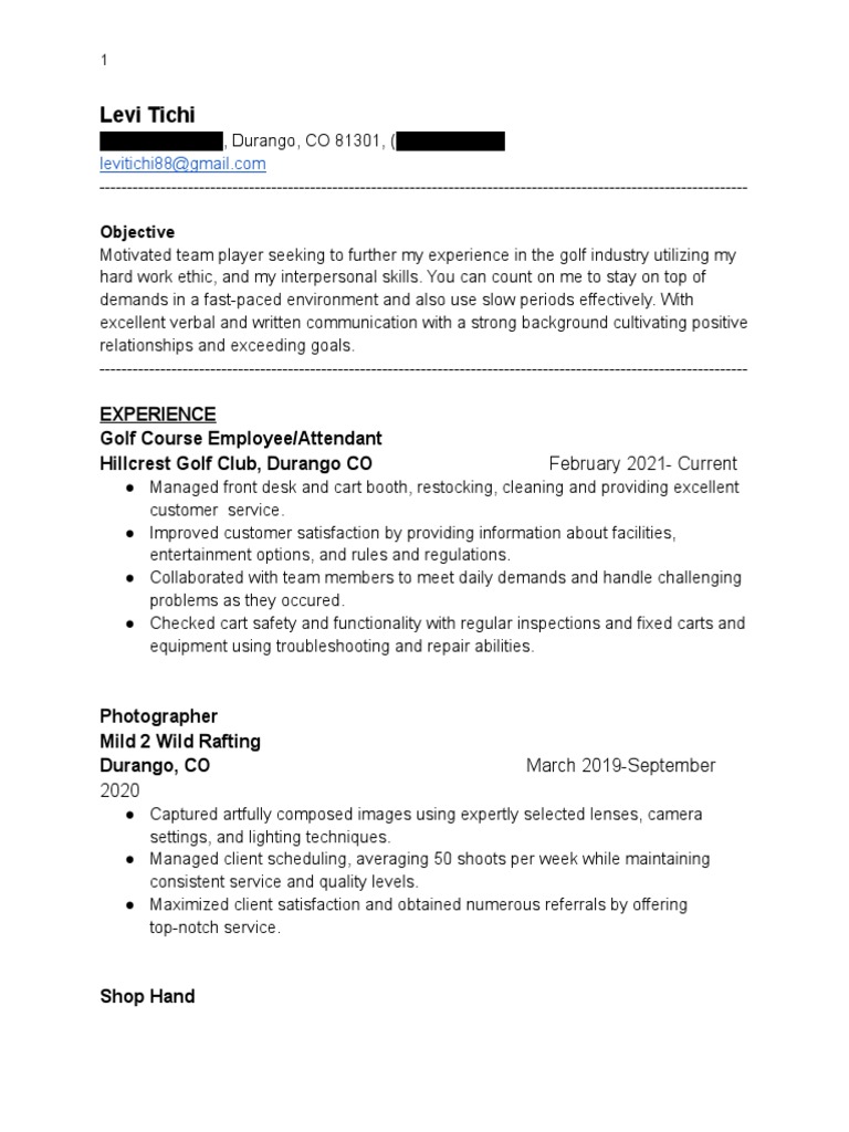 Levi Tichi Resume-2 | PDF | Human Nature | Business