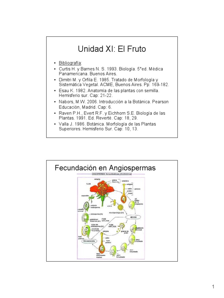 Clasificación y Fecundación de Frutos | PDF | Reproducción de plantas ...