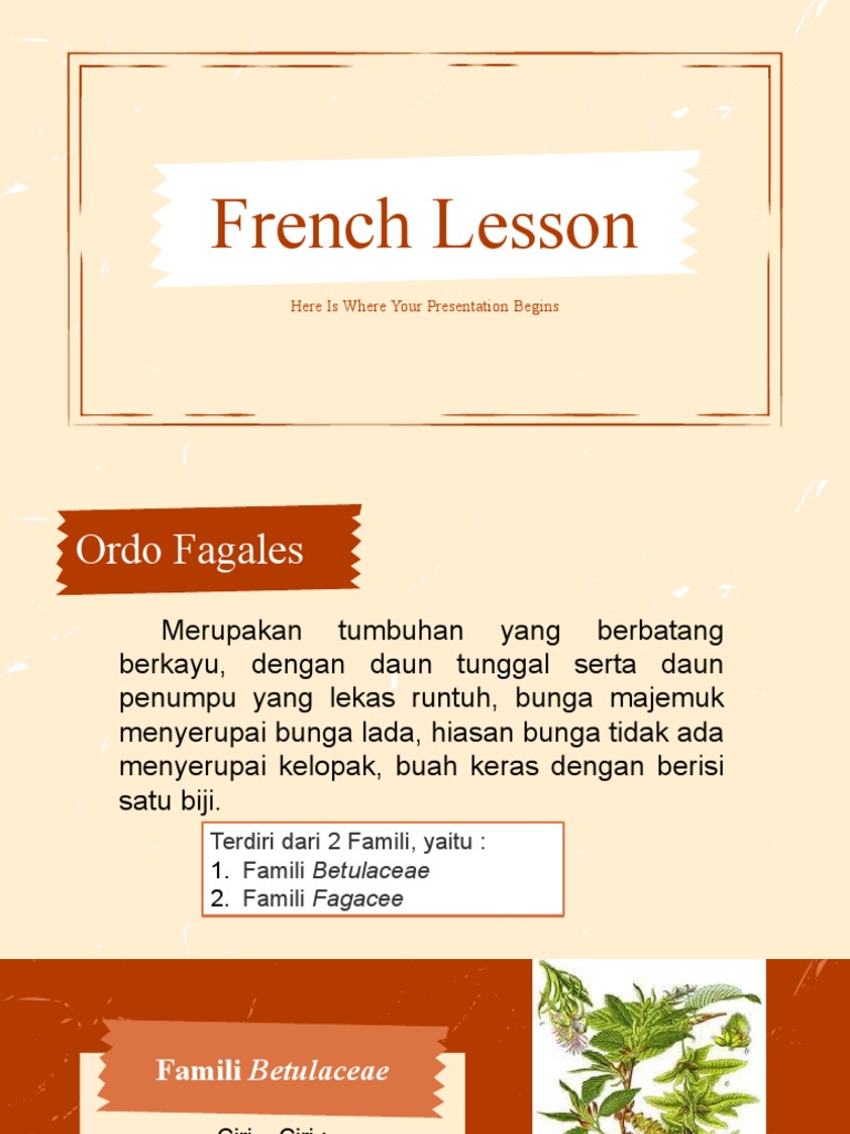 Ordo Tumbuhan: Fagales dan Piperales | PDF | Kesehatan Holistik | Sains ...