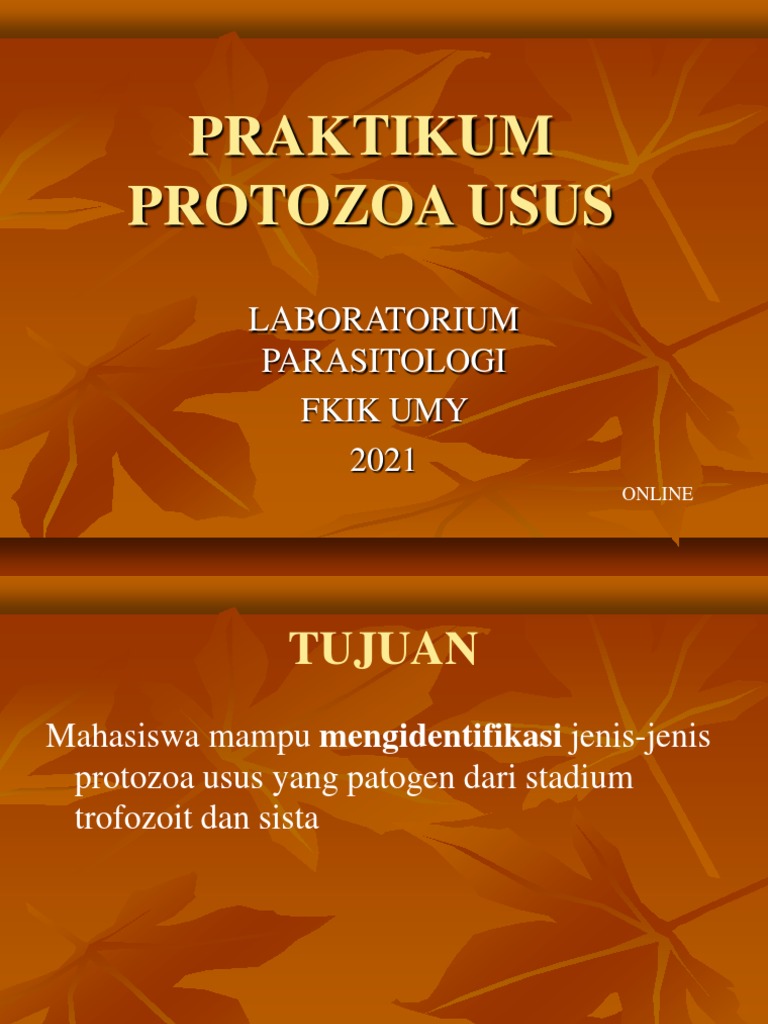 Praktikum Blok 13 Alimentari Protozoa Usus | PDF