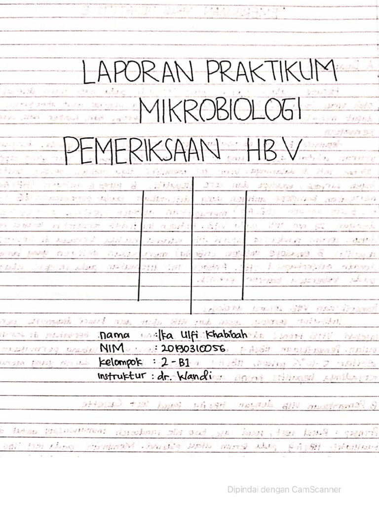 Laporan Praktikum Pemeriksaan HBV | PDF