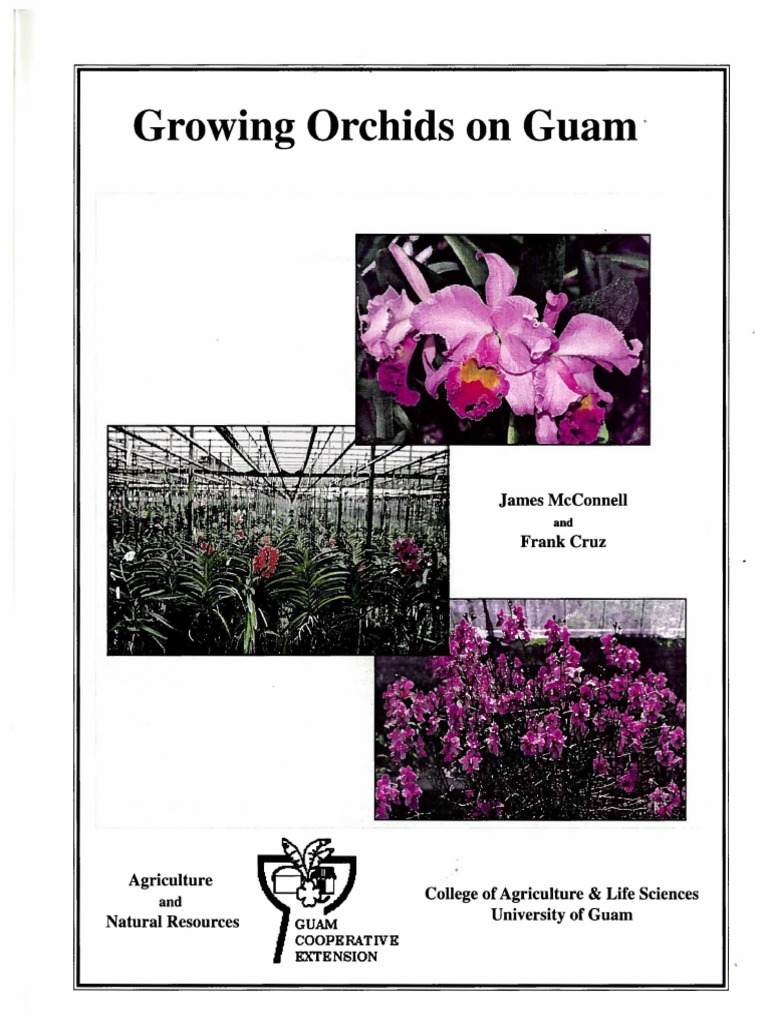 Growing Orchids on Guam Guide | PDF | Orchidaceae | Gardening