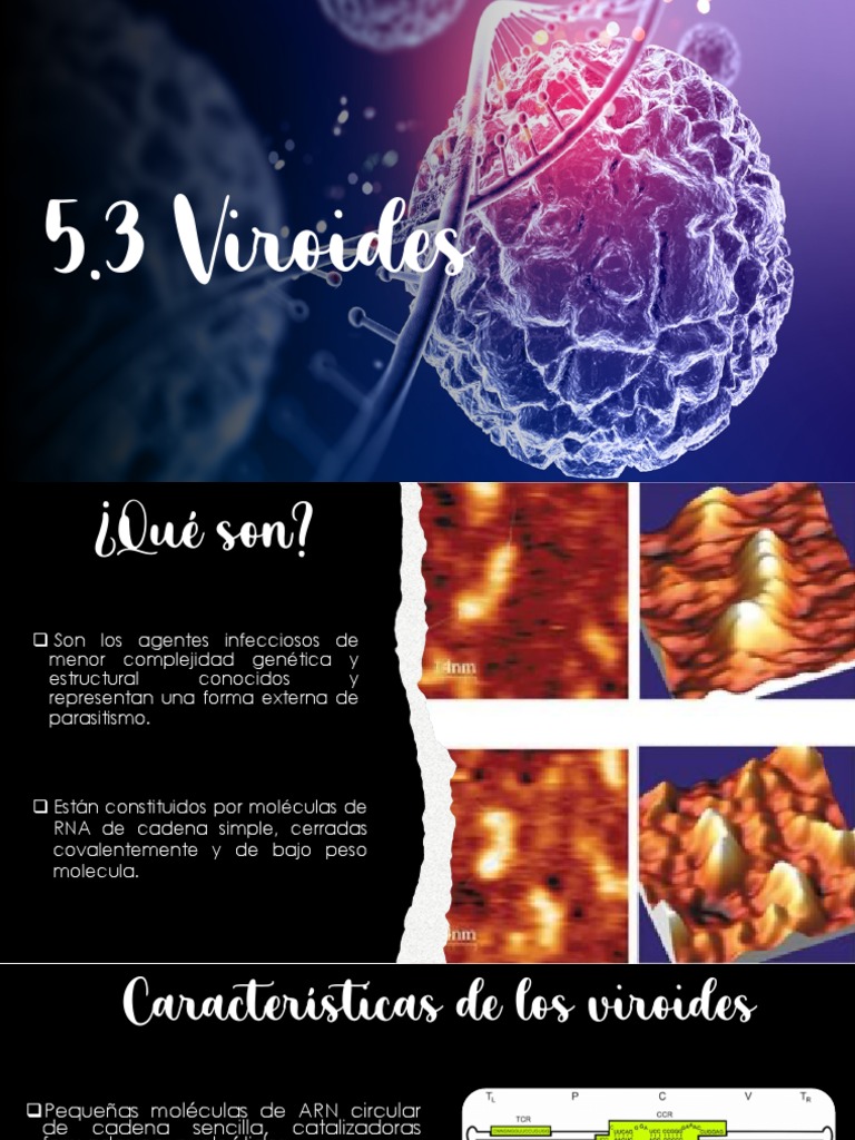 Viroides: Agentes Infecciosos en Plantas | PDF | Hogar, jardinería y ...