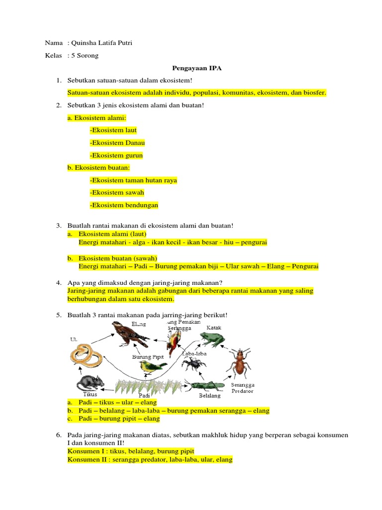 Pengayaan IPA: Ekosistem dan Perpindahan Panas | PDF