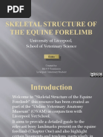 The Preoperative Sinus CT: Avoiding A "Close" Call With Surgical ...