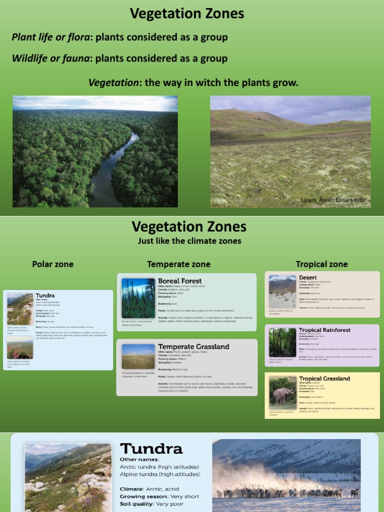 Vegetation Zones | PDF
