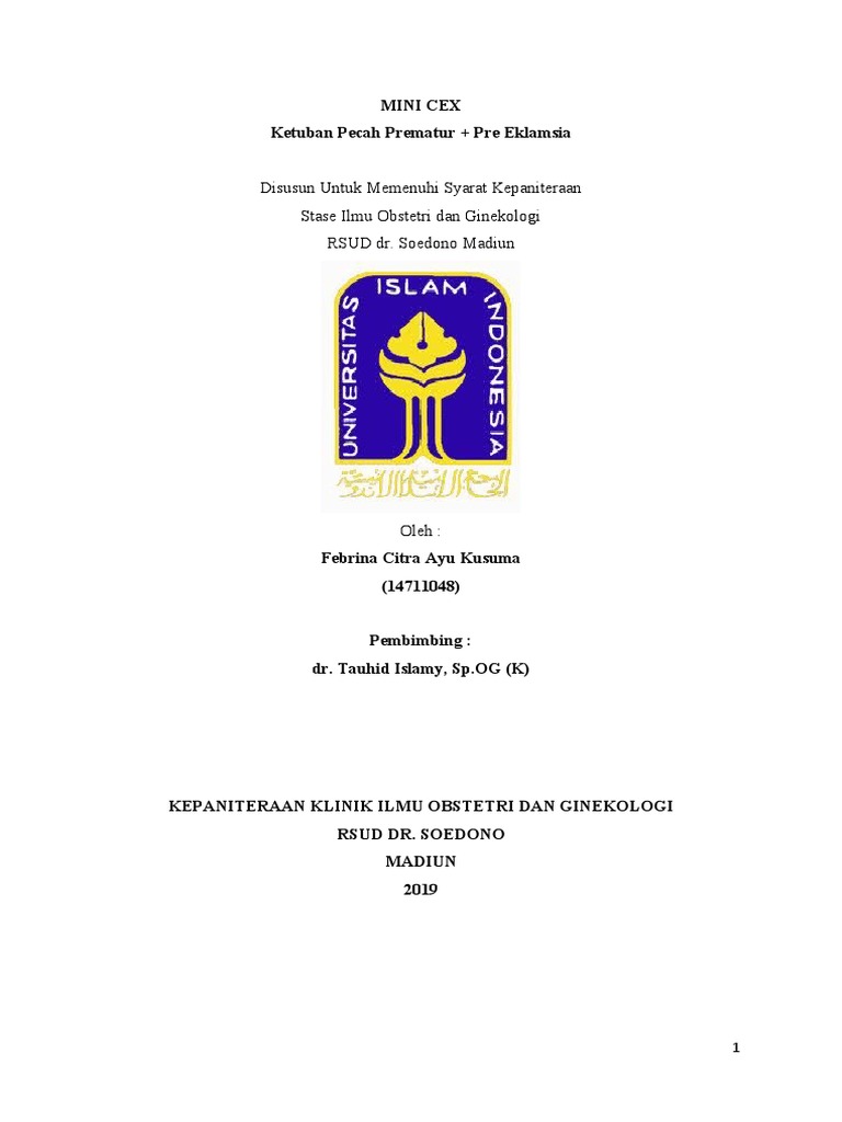 Mini Cex | PDF