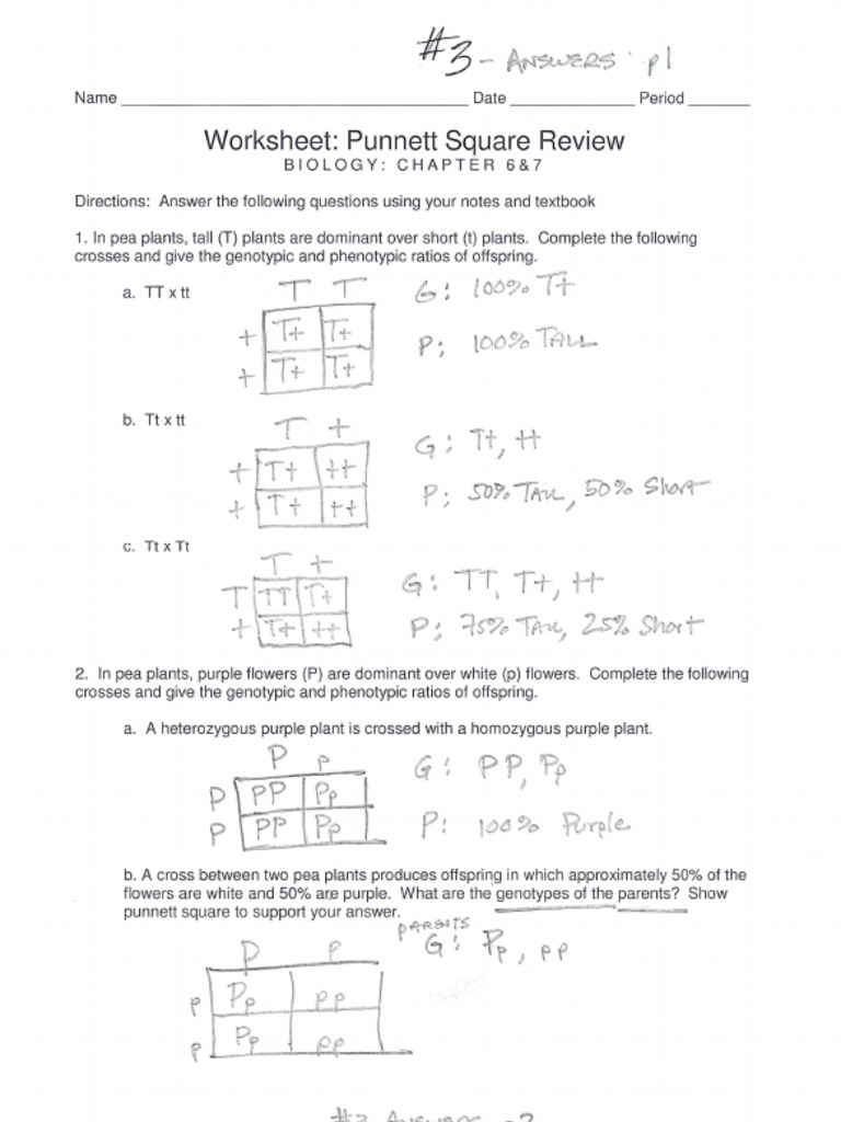 Review Packet 3 ANSWERS 2016 | PDF