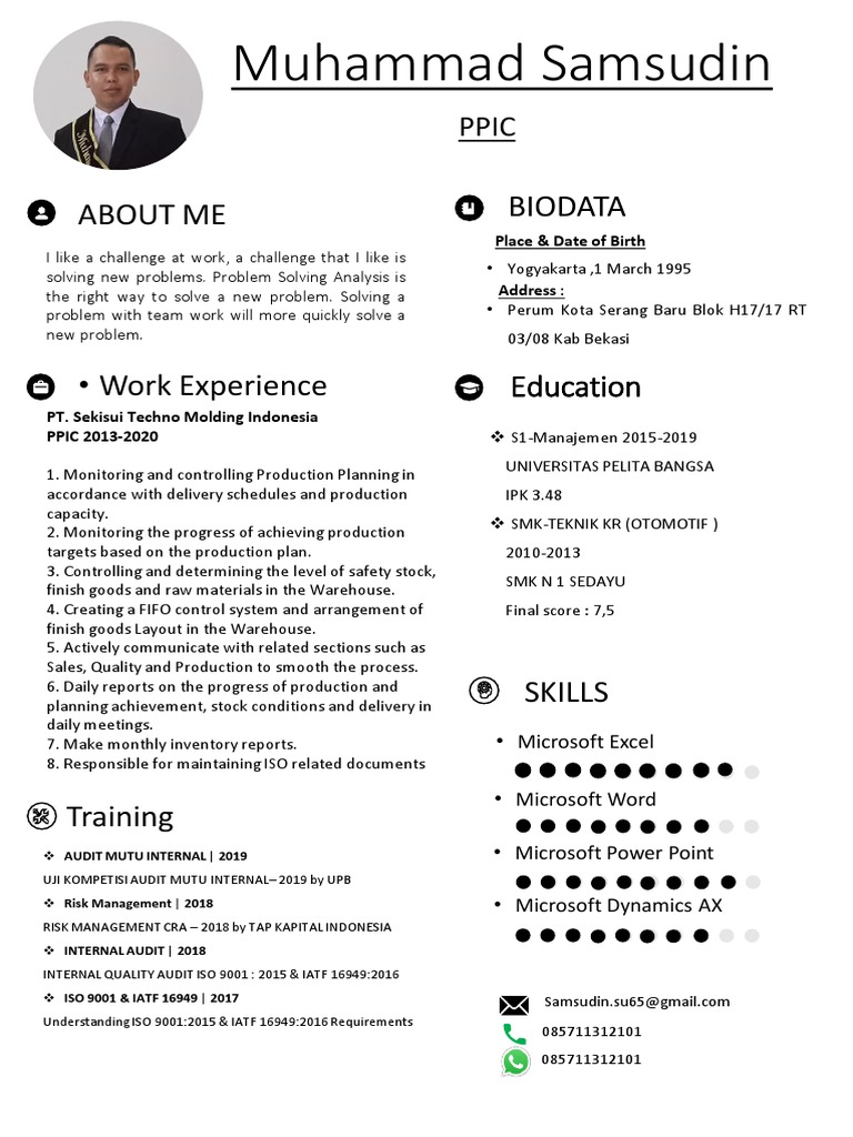 CV Muhammad Samsudin-Ppic | PDF | Systems Theory | Production And Manufacturing