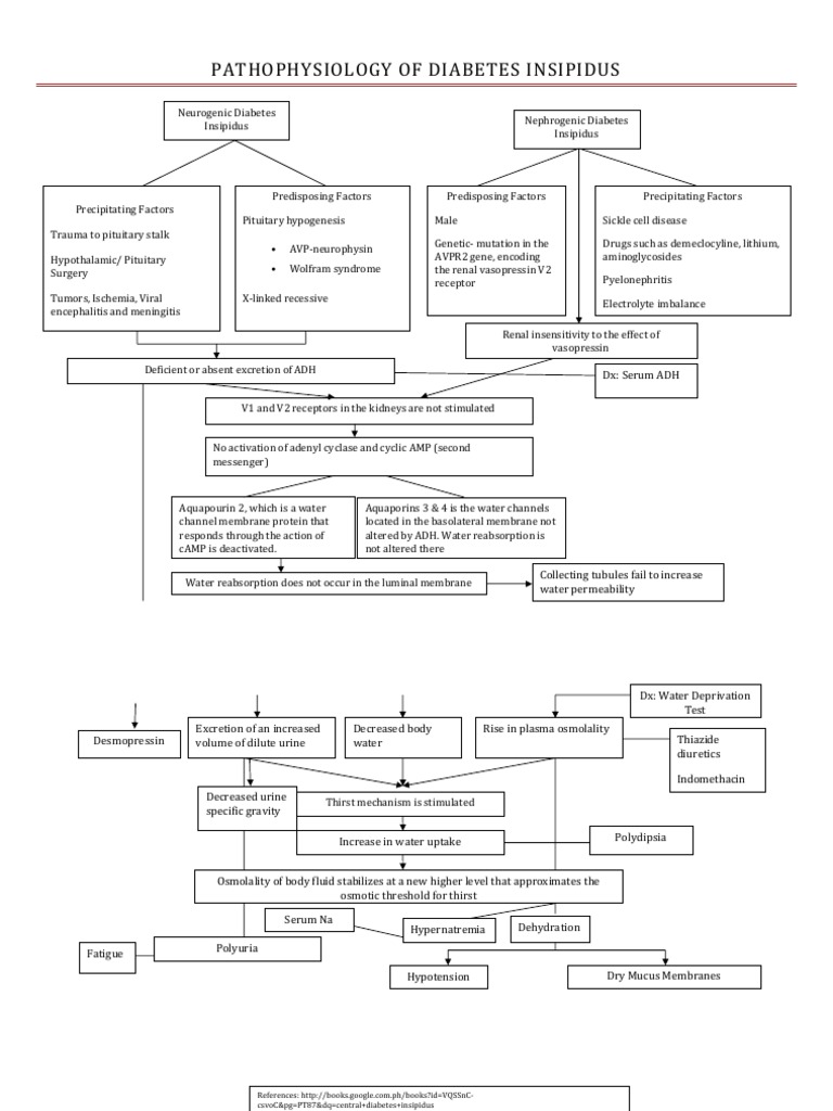 Pathophysiology of Diabetes Insipidus: DX: Serum ADH | PDF | Medical ...