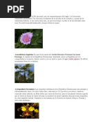 Flora Nativa de República Dominicana | PDF | República Dominicana | Arboles