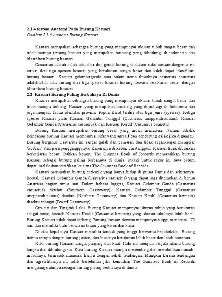 Ciri dan Karakteristik Burung Kasuari | PDF