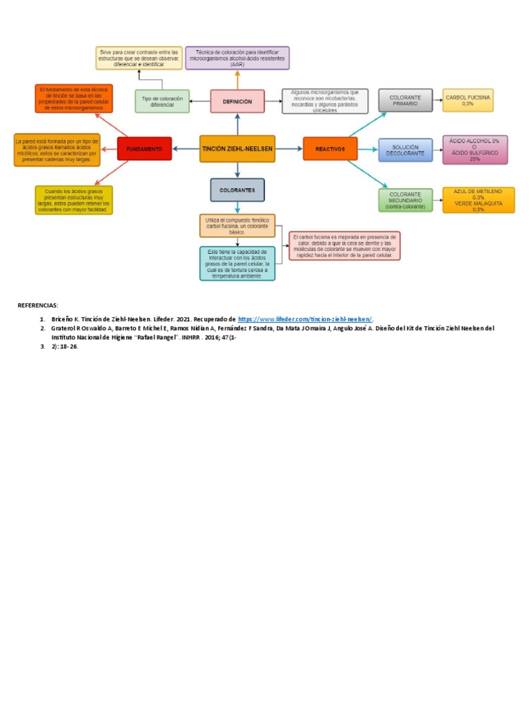 Micro Pract 10 - Ziehl Neelsen | PDF