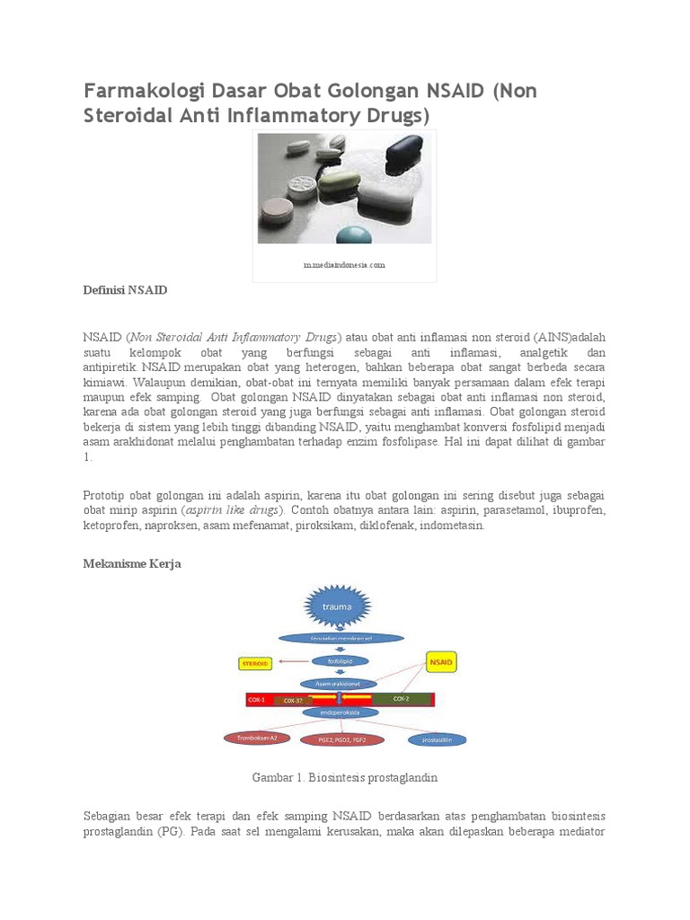 MEKANISME KERJA DAN EFEK FARMAKODINAMIK OBAT GOLONGAN NSAID | PDF