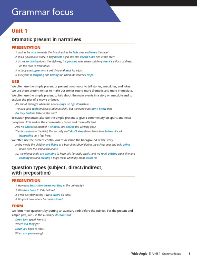 Grammar Focus | PDF | Question | Plural