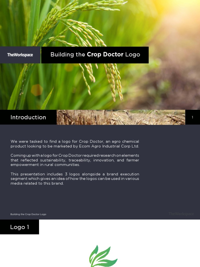 Crop Doctor Logo Presentation (New Edit) | PDF | Logos | Agriculture