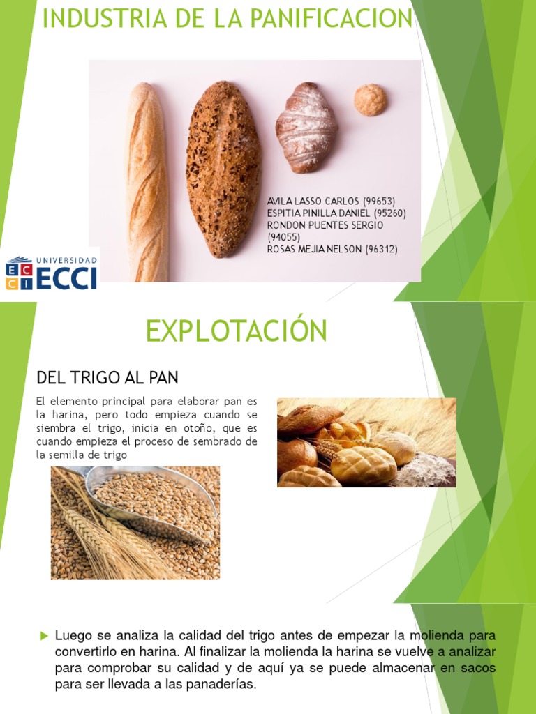 Industria de La Panificacion | PDF | Panes | Trigo
