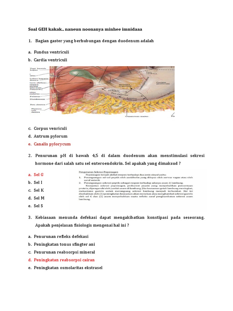 Soal GEH Kak Bagian Noonanya Minhee 2 | PDF | Pengembangan Diri | Kesehatan Holistik