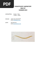 Stool Examination | PDF | Human Feces | Microbiology