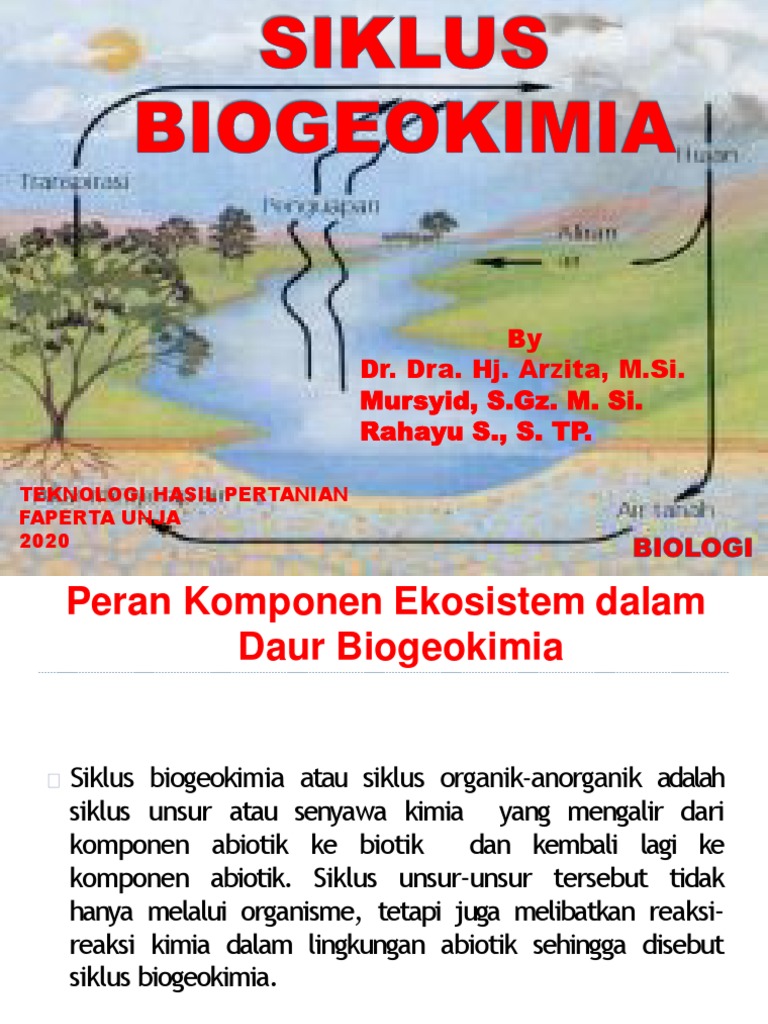 Daur Biogeokimia dalam Ekosistem | PDF