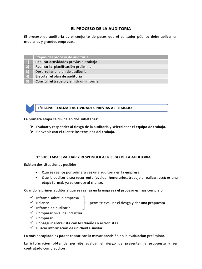El Proceso de Auditoria 1 | PDF | Auditoría | Empresas