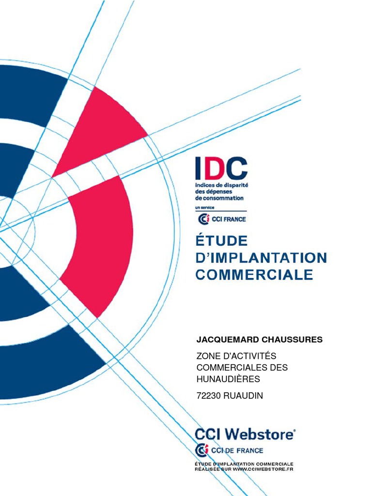Exemple Rapport Etude Idc | PDF | Commerce de détail | Business