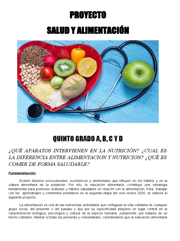 Proyecto Alimentación y Salud | PDF | Narrativa | Nutrición