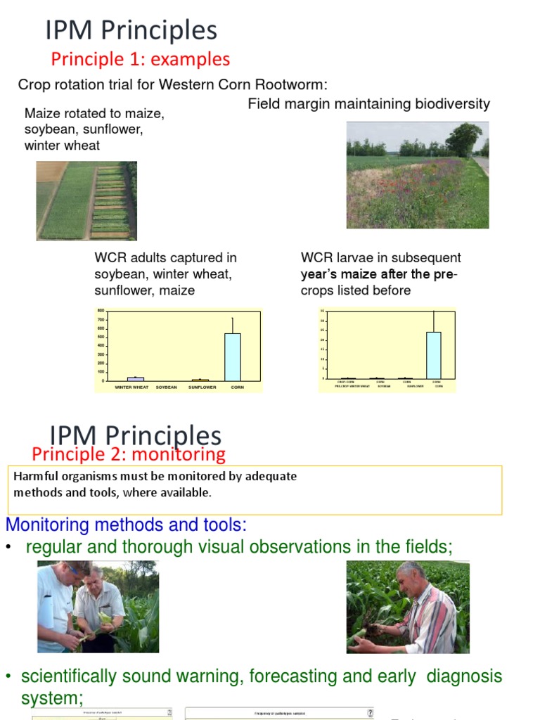 IPM Principles: Principle 1: Examples | PDF | Pesticide | Pest (Organism)