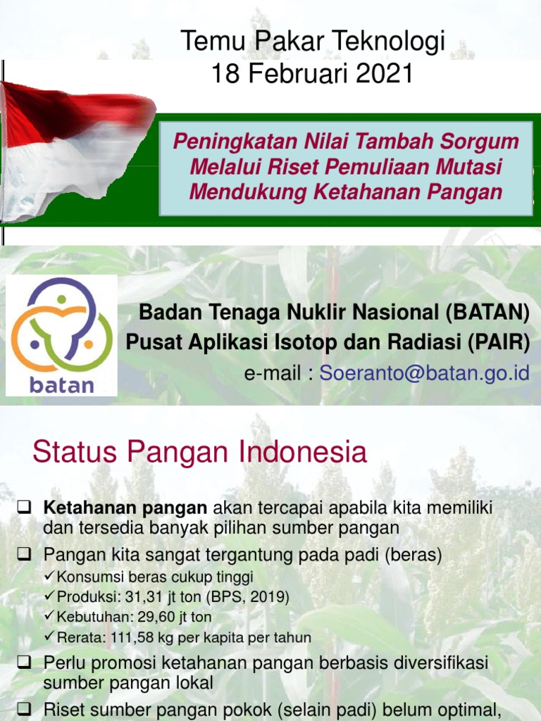 Temu Pakar Teknologi Sorgum | PDF | Kesehatan Holistik | Sains & Matematika