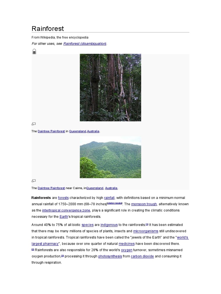 An In-Depth Look at Rainforests: Their Distributions, Characteristics ...