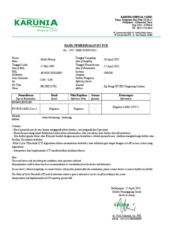 HASIL PEMERIKSAAN RT-PCR | PDF