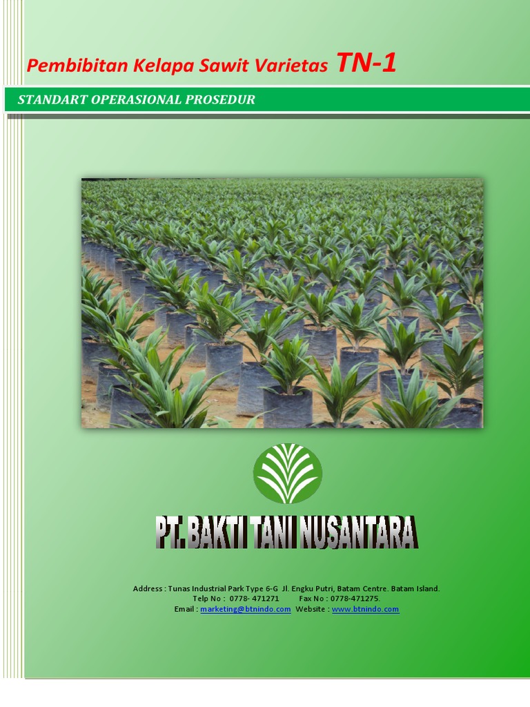 SOP Kecambah TN1 | PDF