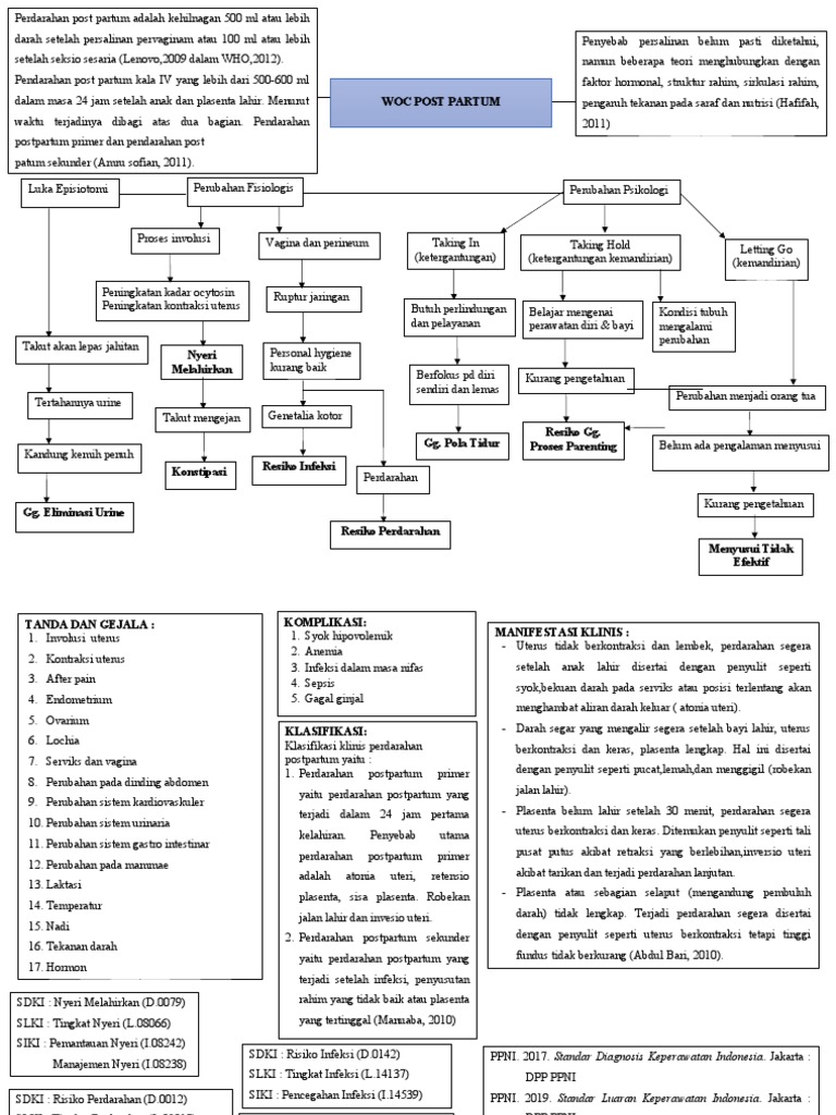 WOC Post Partum | PDF