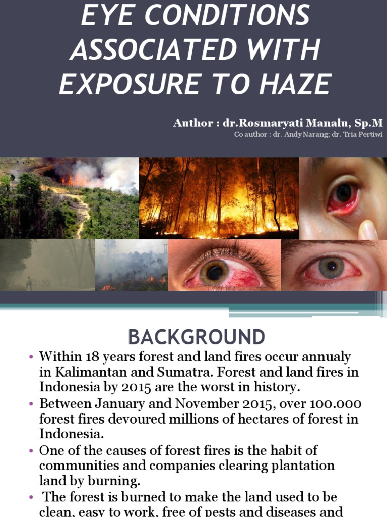 Eye Condition Associated With Exposure To Haze | PDF | Air Pollution ...
