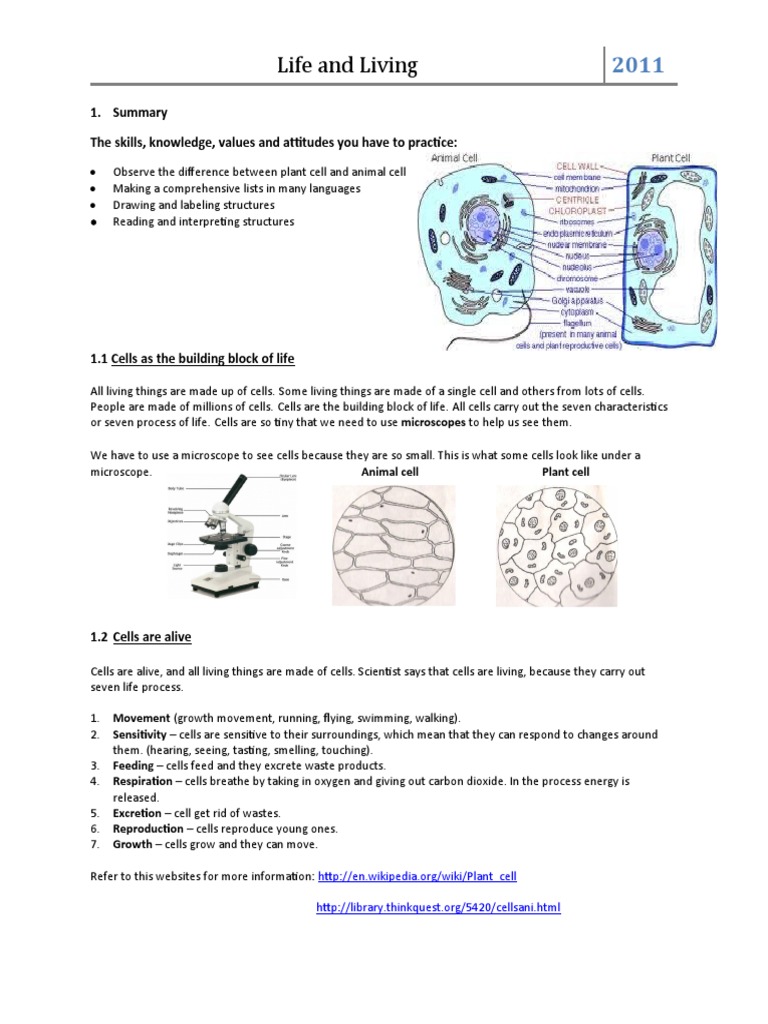 Cells The Building Block of Life | PDF