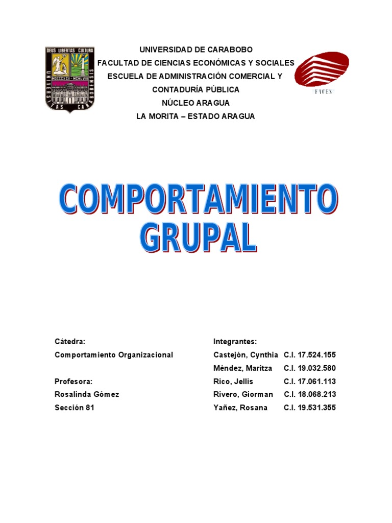 Informe Comportamiento Grupal | PDF | Comportamiento | Toma de decisiones