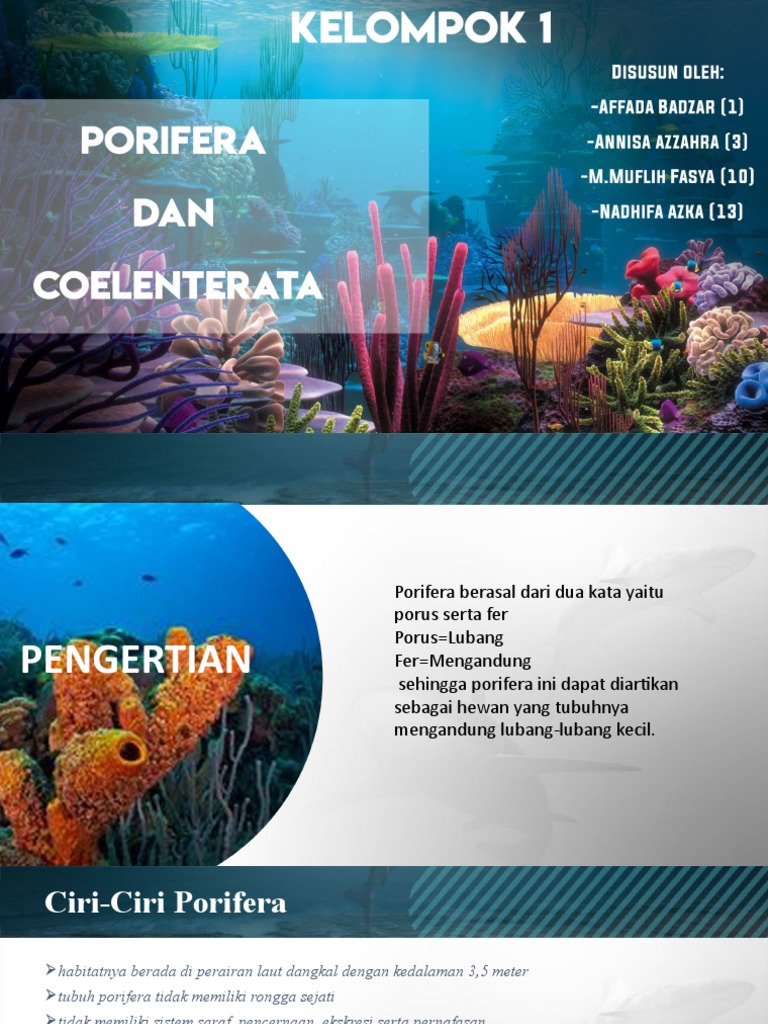 Sel Amoebosit dan Skleroblast Porifera | PDF | Ilmu Sosial | Griya & Taman
