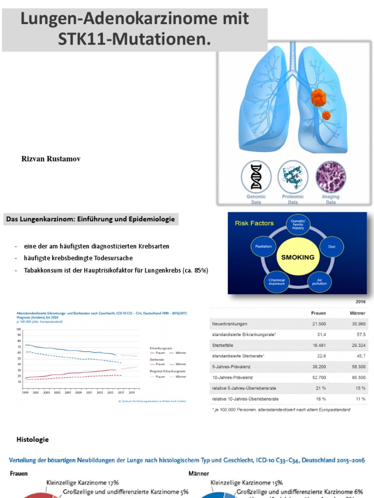 STK 11 Mutated AdenoCa - DGP.2020 | PDF
