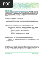 Bacterial Identification Lab Worksheet Student | PDF | Polymerase Chain ...