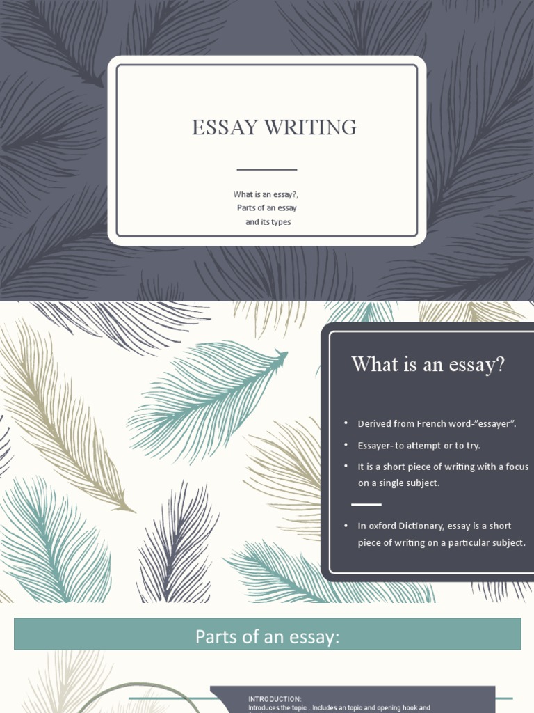Essay Writing What Is An Essay Parts Of An Essay And Its Types PDF 