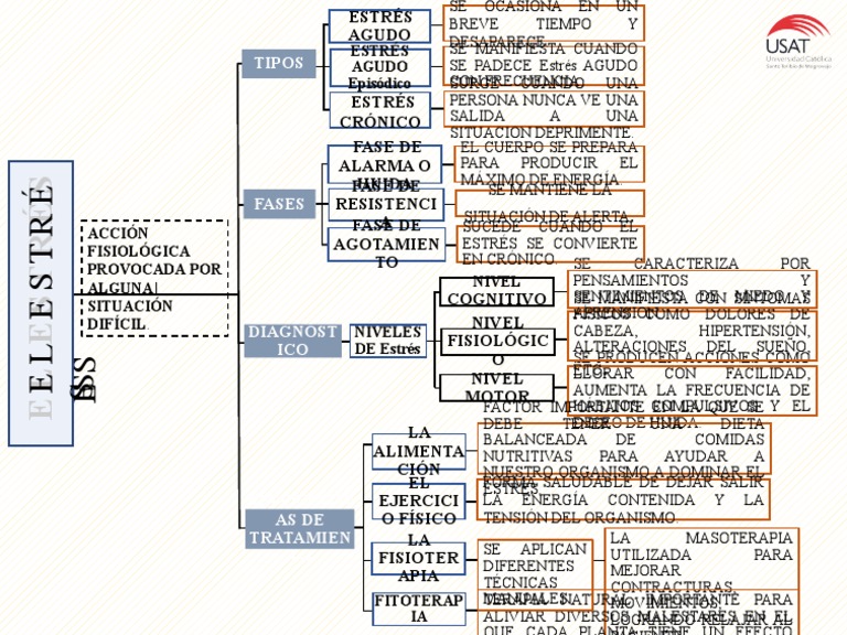 Mapa Conceptual Del Estrés | PDF | Estrés (biología) | Sicología