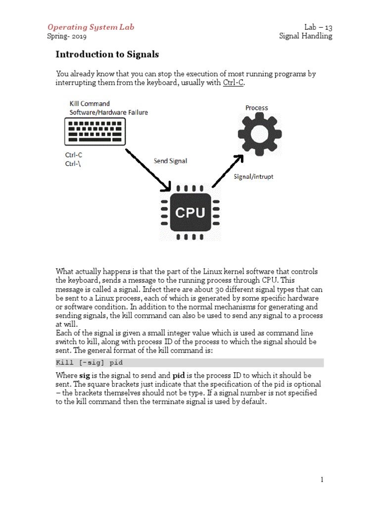 OS Lab 12 | PDF | Computer Engineering | Operating System Technology