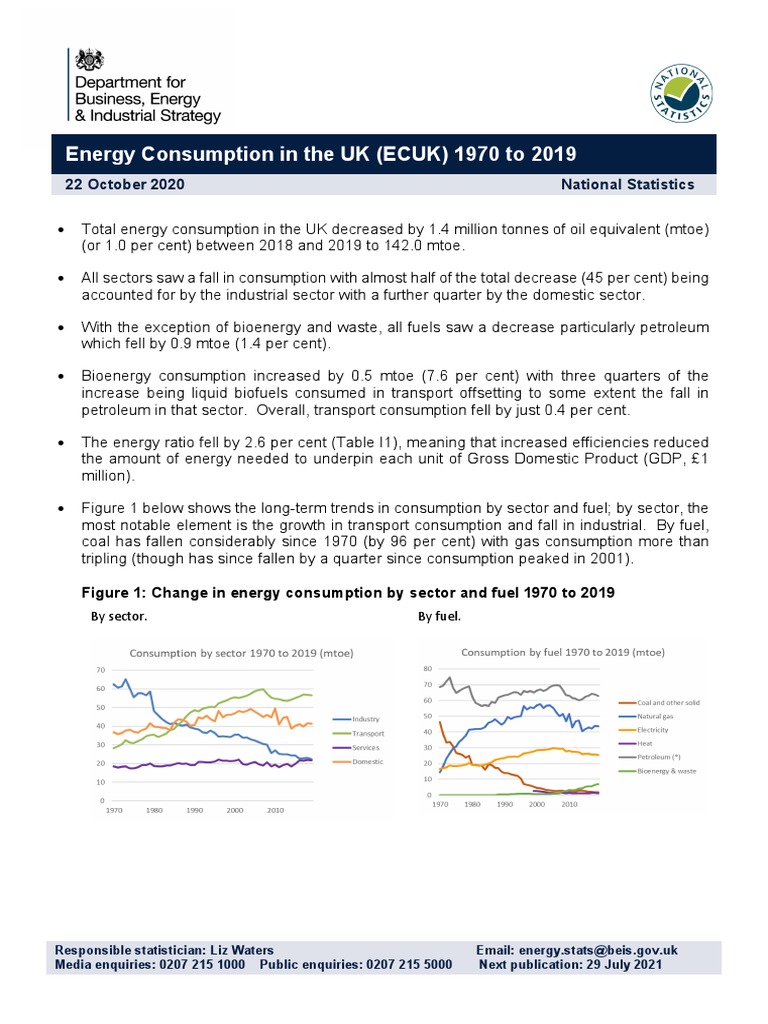 2020 Energy Consumption in The UK ECUK | PDF | World Energy Consumption ...