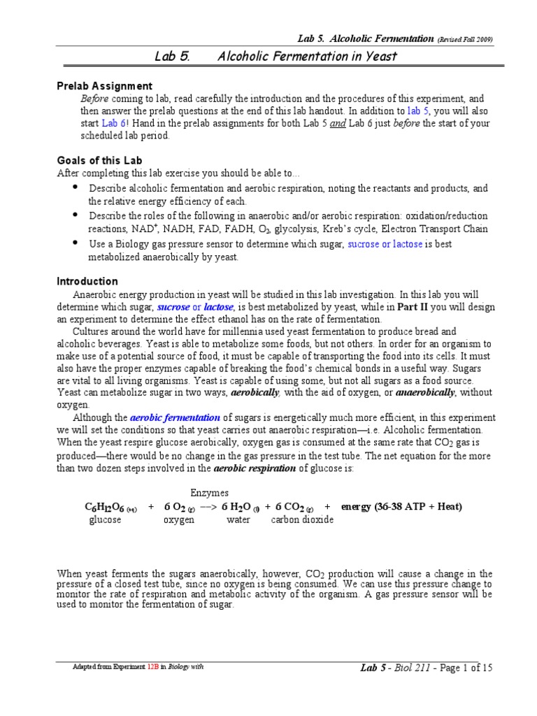 Lab 5 Alcoholic Fermentation in Yeast | PDF | Cellular Respiration ...