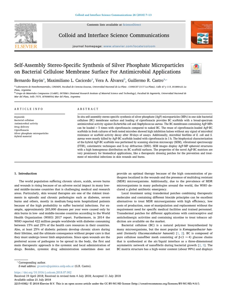 Cellulose Composites | PDF | Tissue Engineering | Bacteria