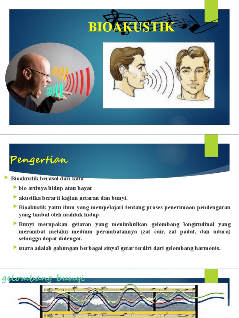 BIOAKUSTIK | PDF