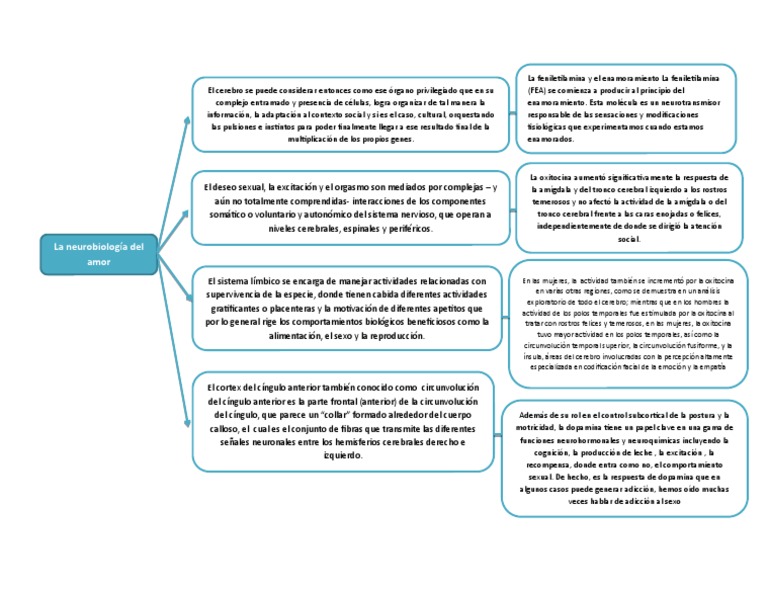 La Neurobiologia Del Amor Mapa Conceptual | PDF | Dopamina | Cerebro