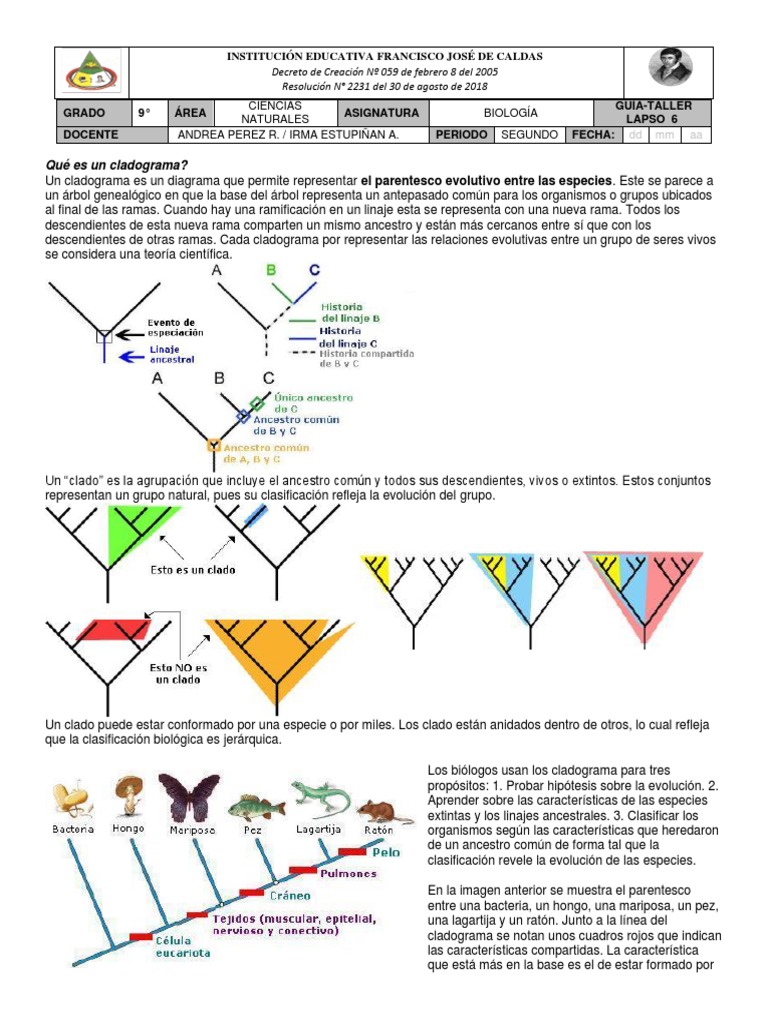 Clodograma | PDF | Clade | Evolución